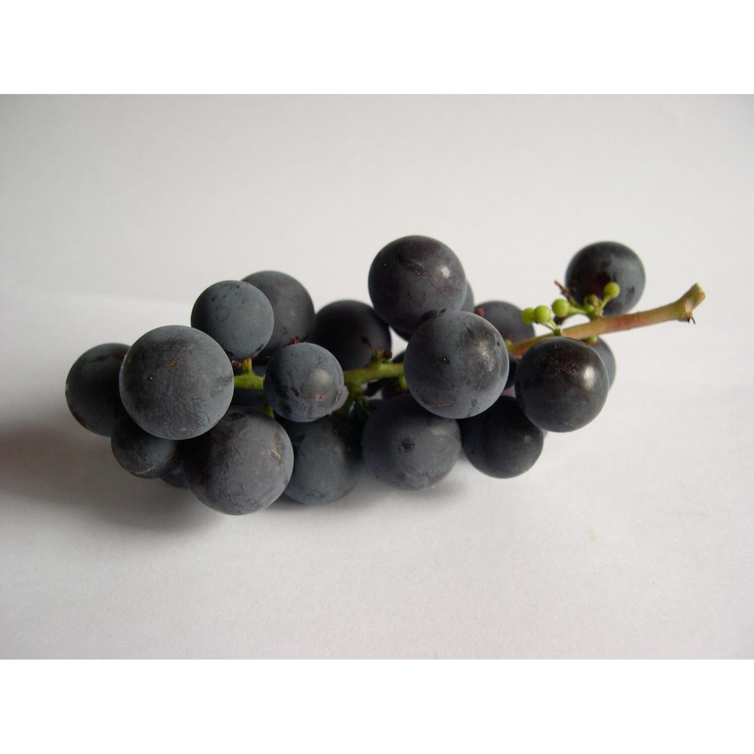 Waimea | Grape Steuben | Mitre10