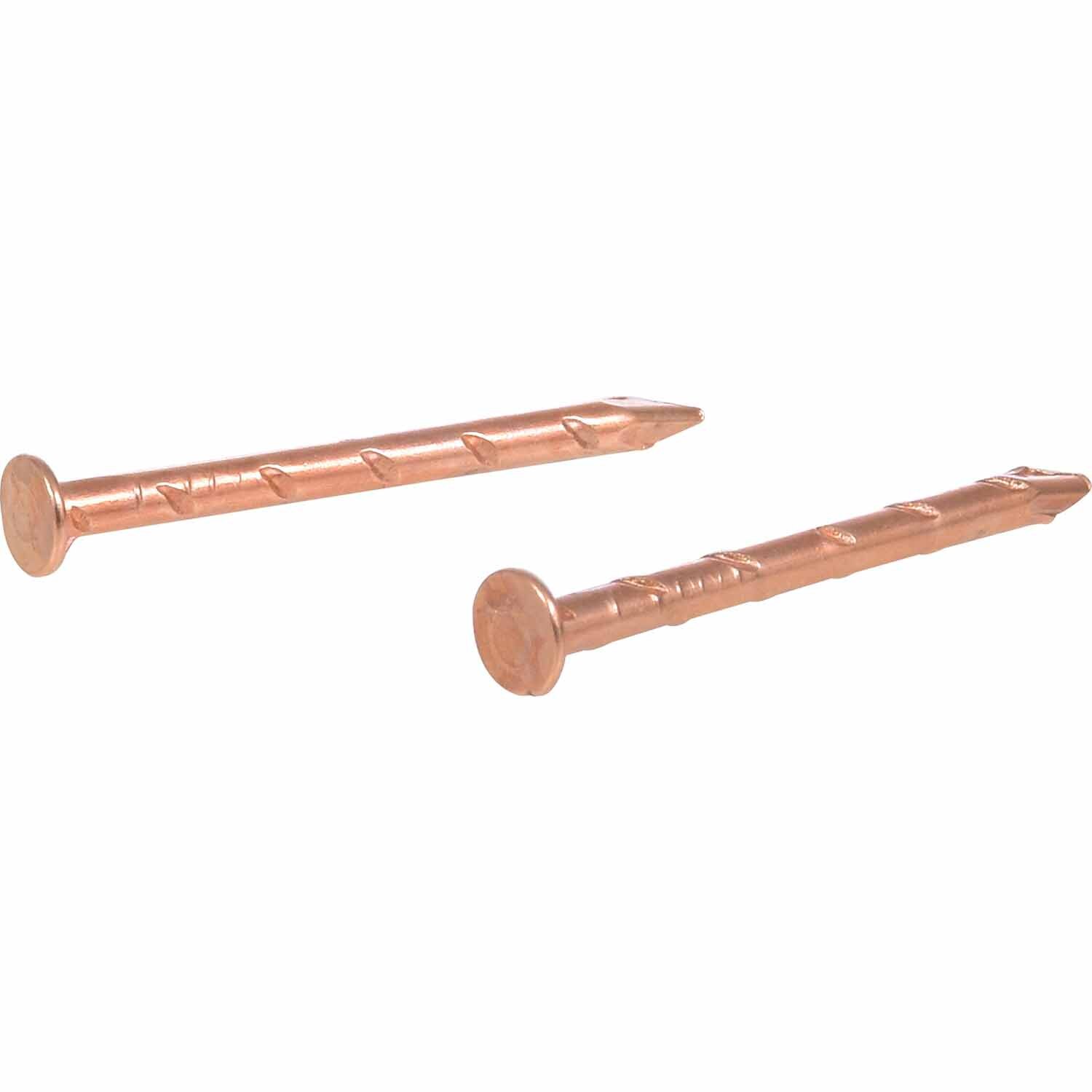 Hillman | Weather Strip Nail 1.4X19mm 43G Copper | Mitre10