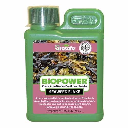 Grosafe | Bio Power Organic Seaweed Flake 100g | Mitre10