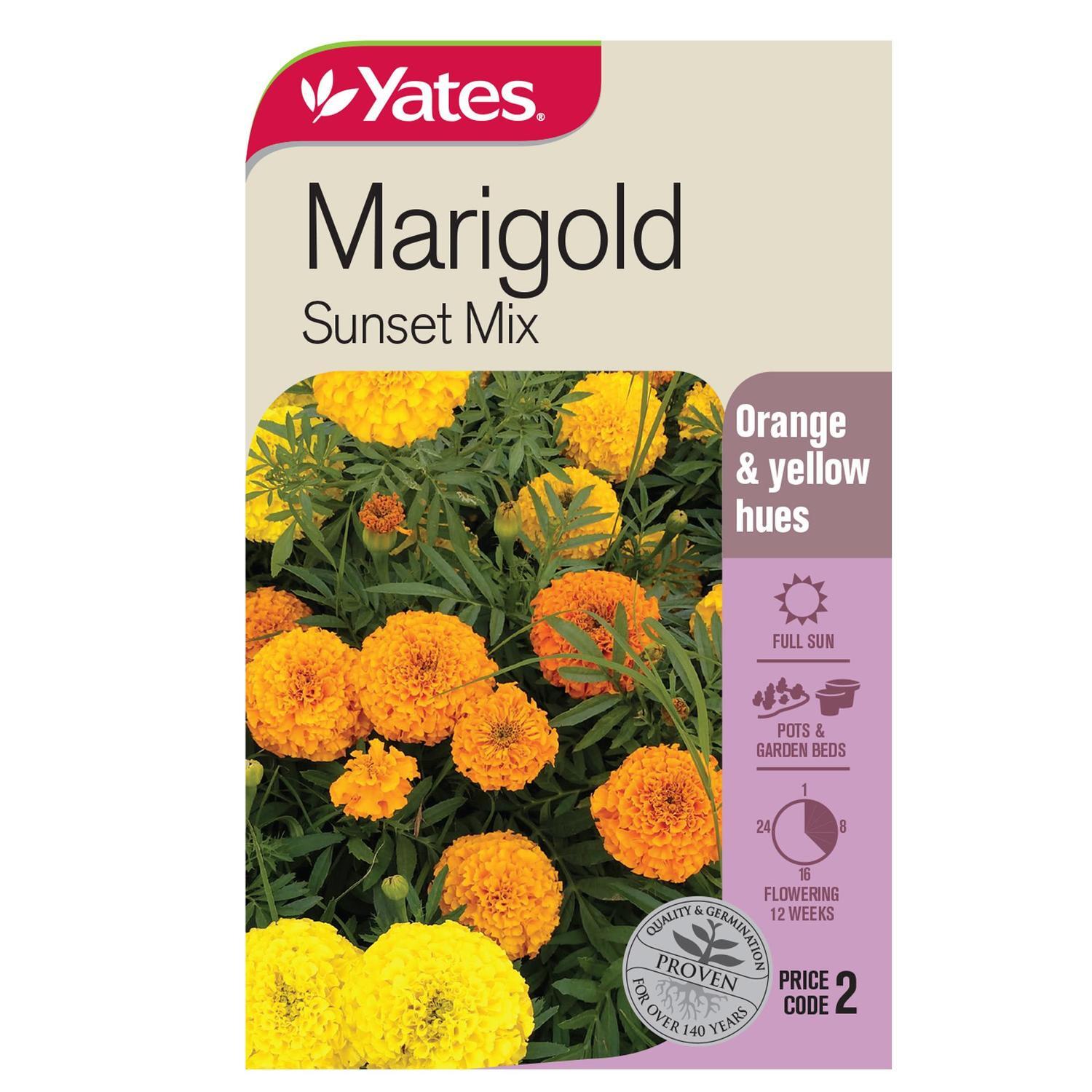 Yates | Flower Seed Marigold Sunset Mix | Mitre10