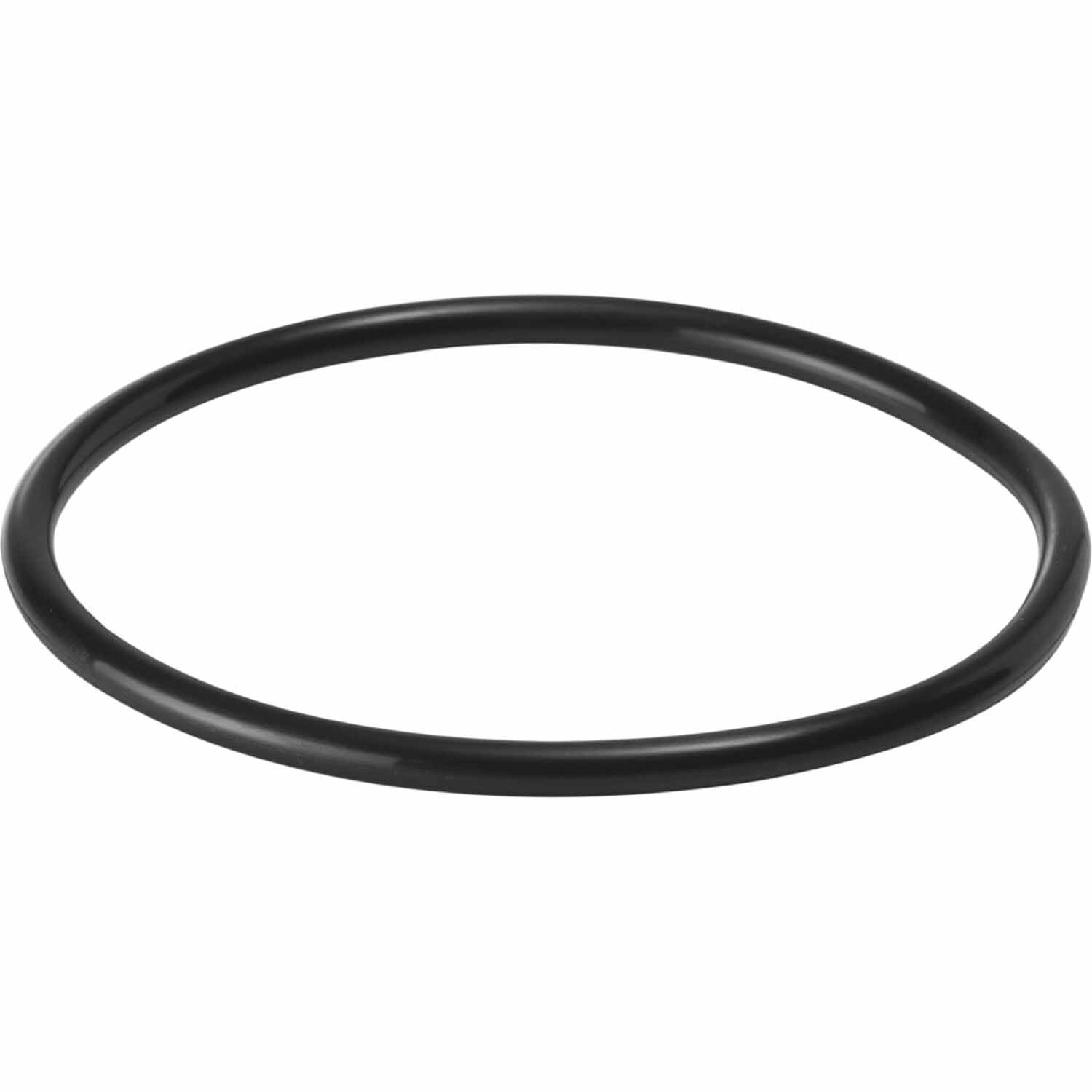 Aquaknight | Easy Clean O Ring - for Waste Body | Mitre10