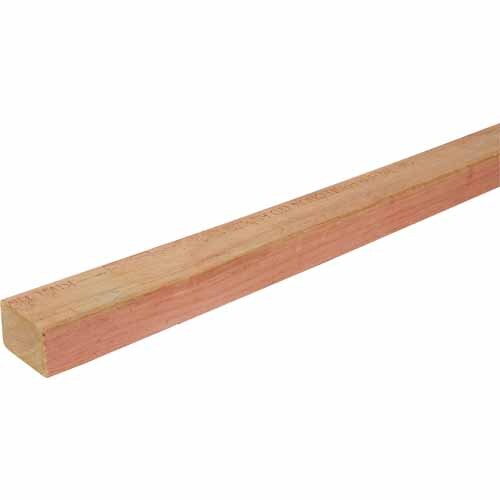 Radiata SG8 H1.2 Timber | Mitre10